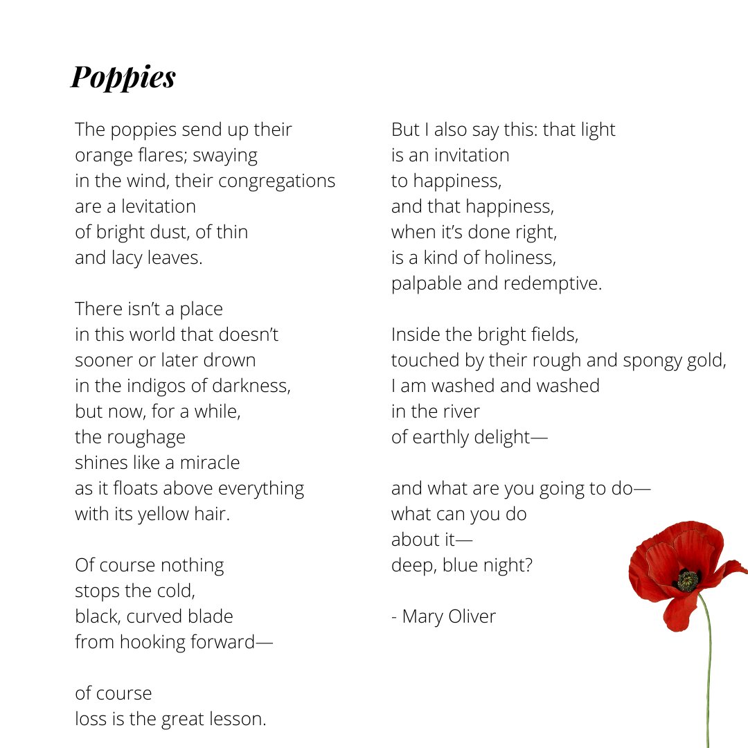 Poetry Generating AI using GPT-2 - Developer X - Webflow Ecommerce ...