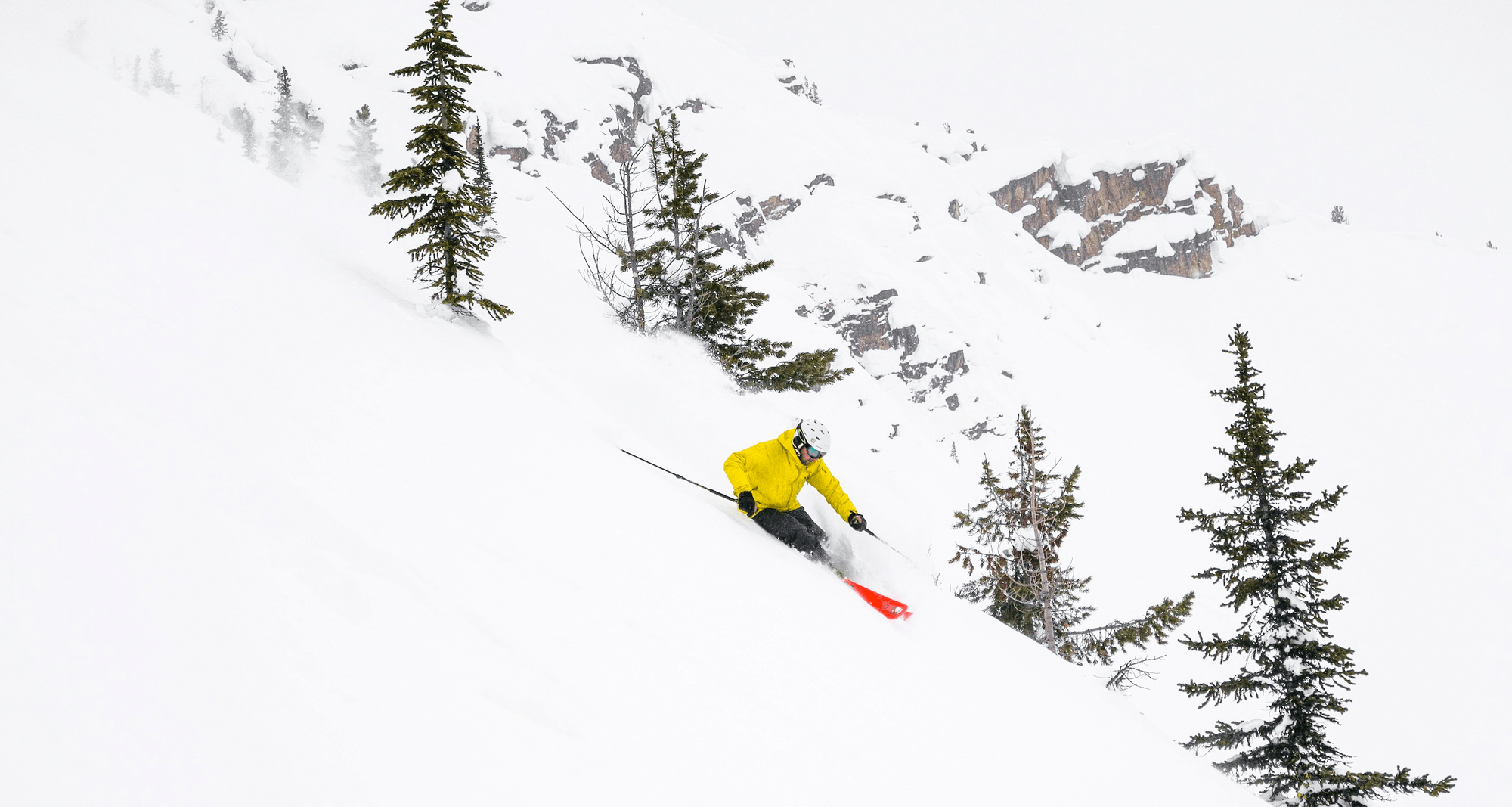 Champagne Powder Shuttle