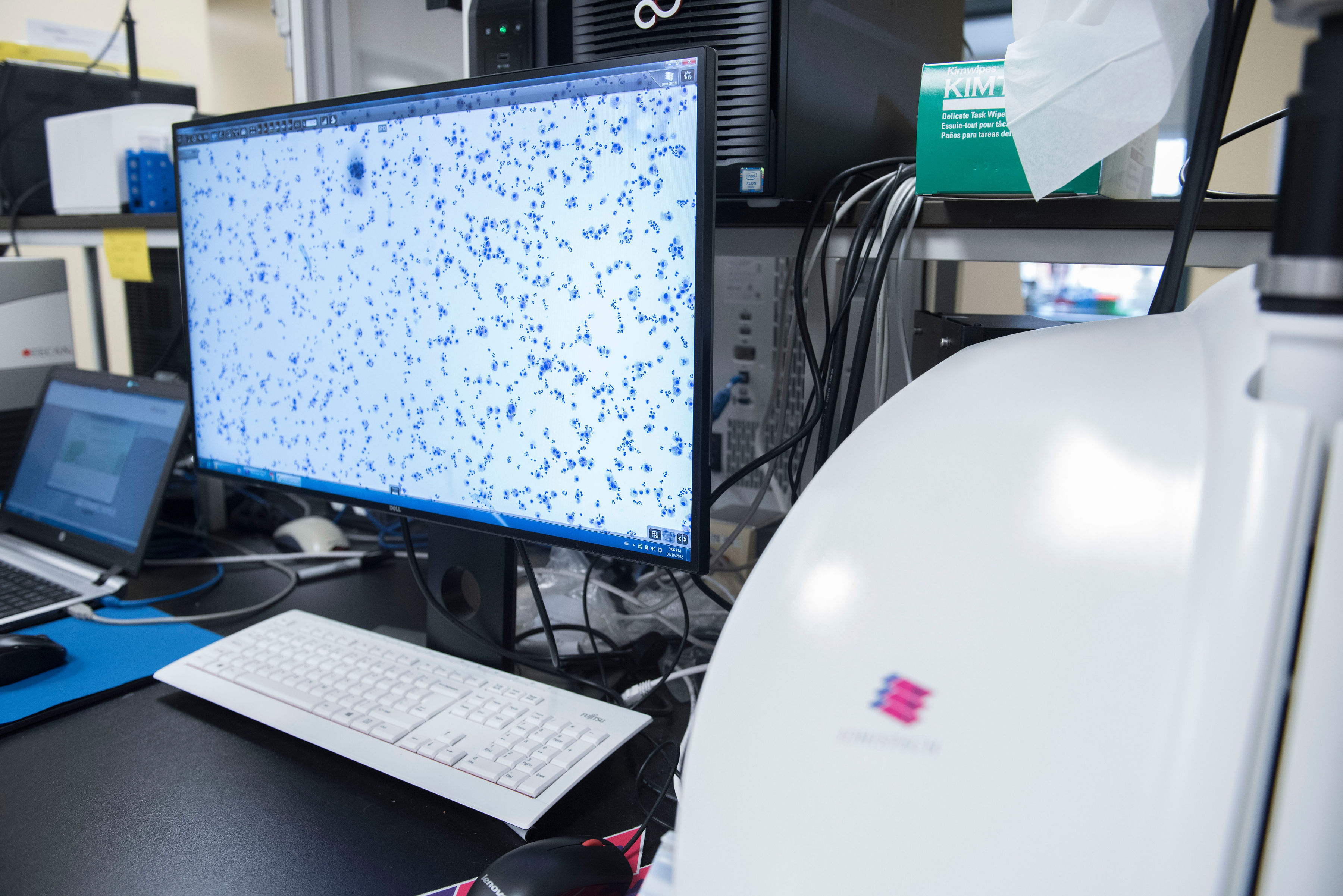 Pannoramic MIDI II | TransBIOTech