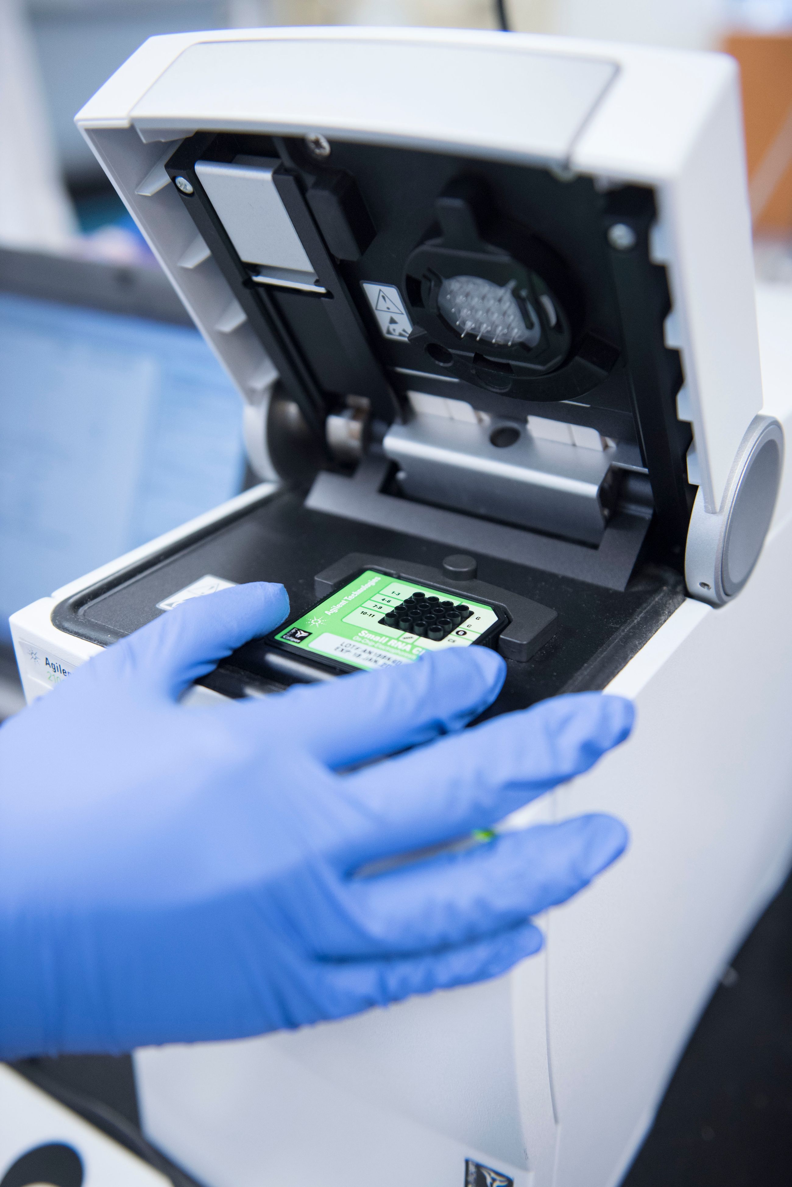 Immunology | TransBIOTech