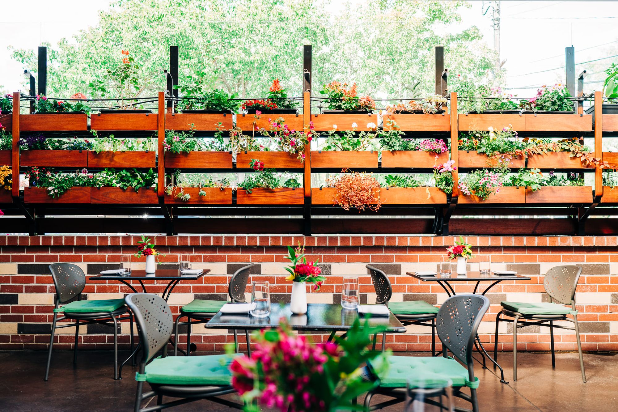 Allora Sacramento - Gallery - Garden Patio