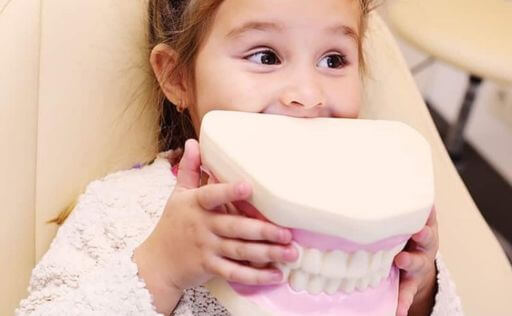 ¿Cuántos dientes tenemos en boca y qué función tienen? - Branz Ortodoncia