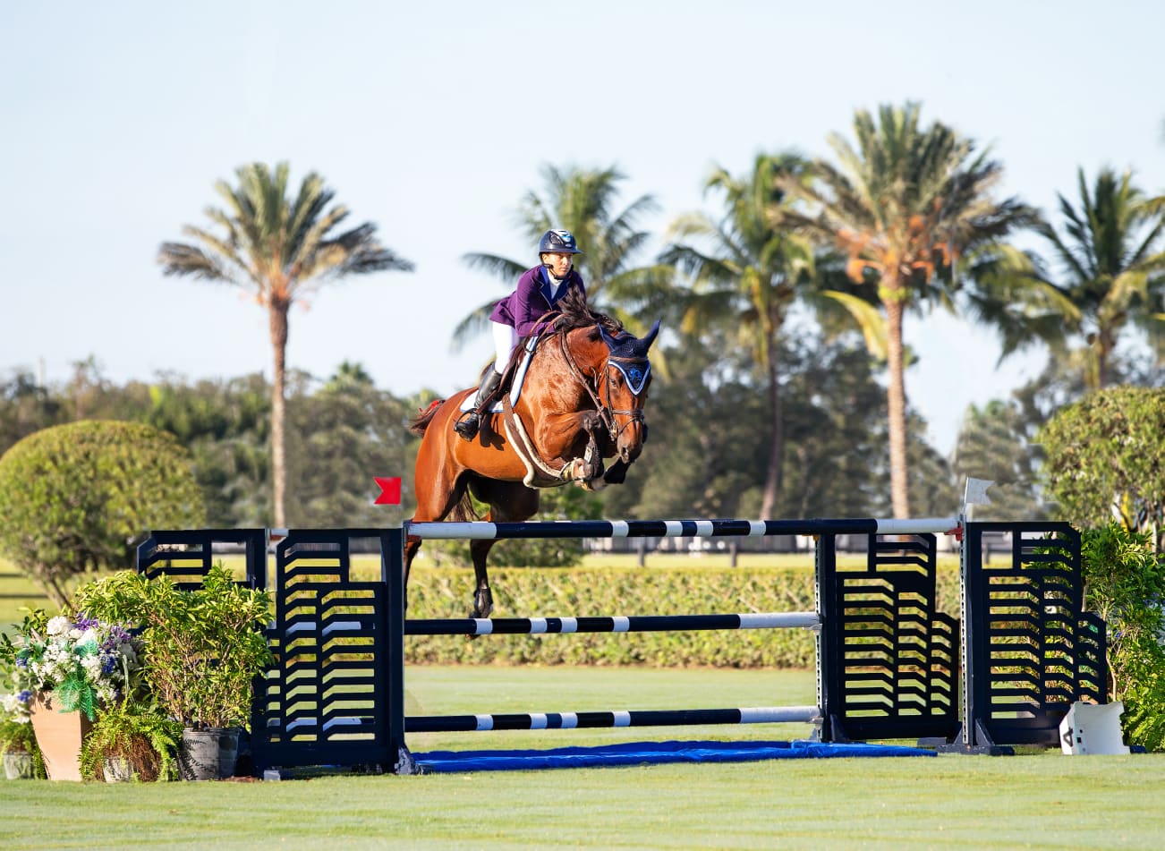 Equestrian grass arena maintenance