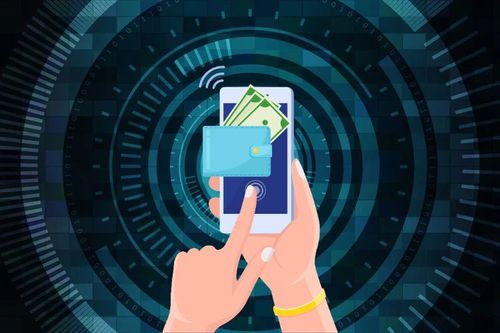 Digital Wallets in India - A Primer