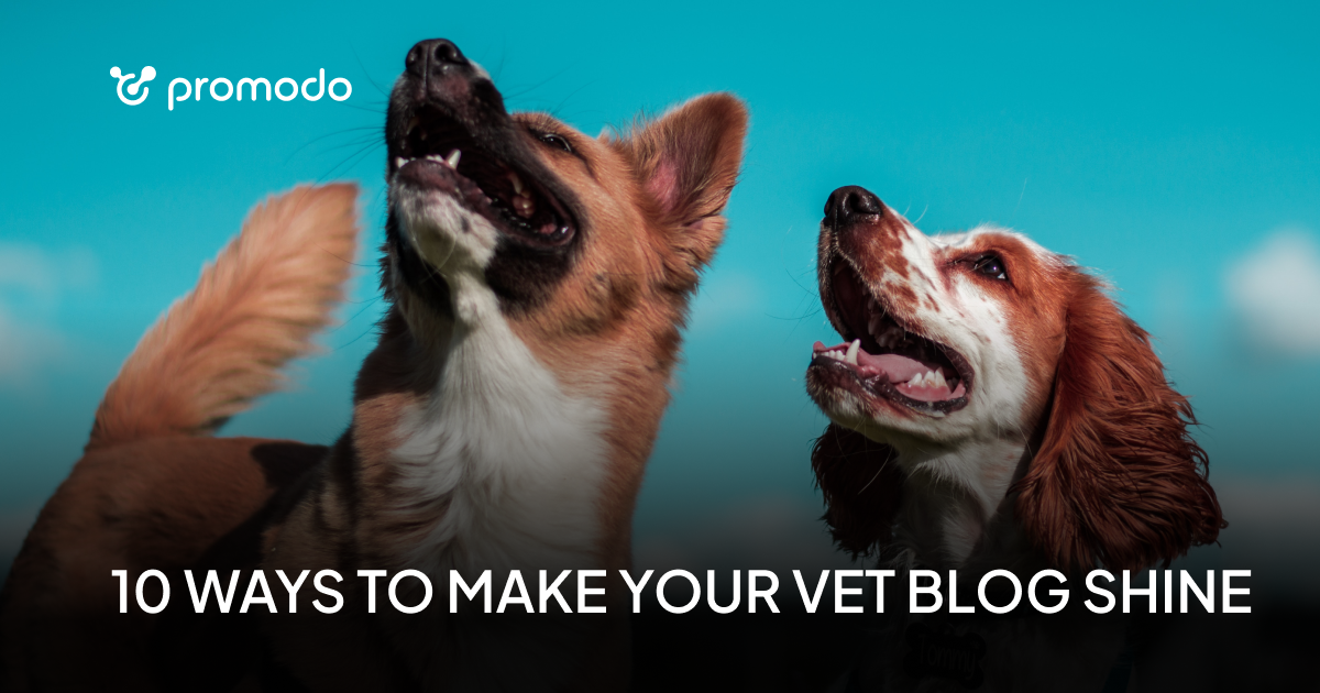 10 Fancy Topics to Write About In Your Veterinary Blog