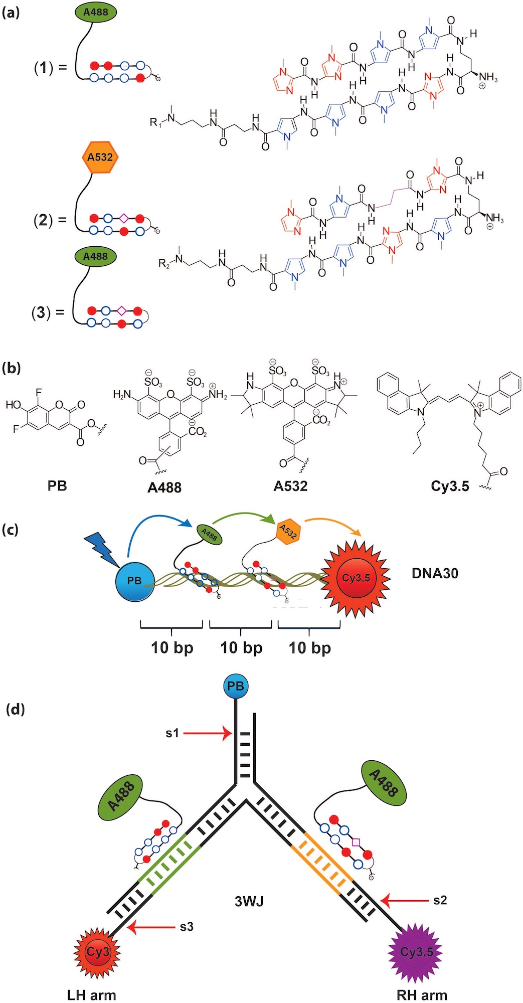 40. Addressable and unidirectional energy transfer along a DNA three ...