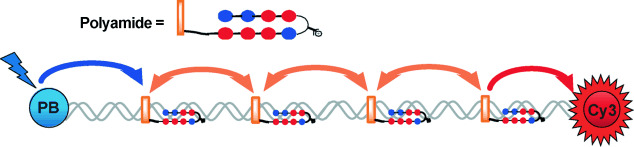 29. Site-Specific Assembly of DNA-Based Photonic Wires by Using ...