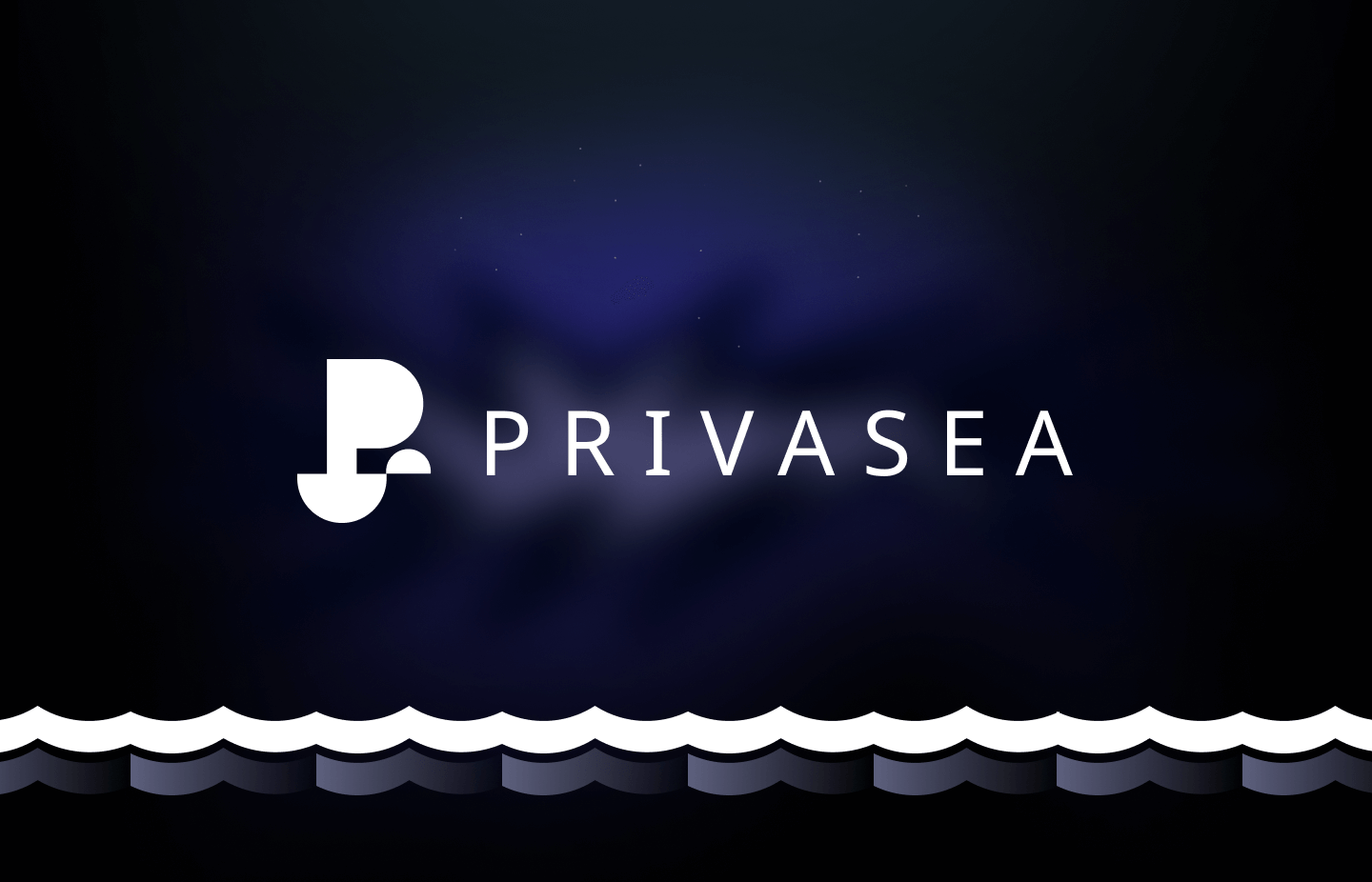 What Is the Privasea AI Network?