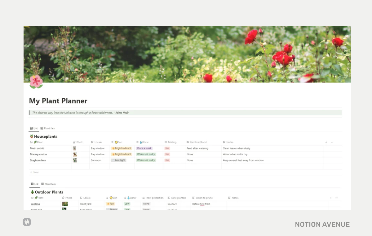 8+ Best Notion Plant Trackers to Channel your Inner Green Thumb