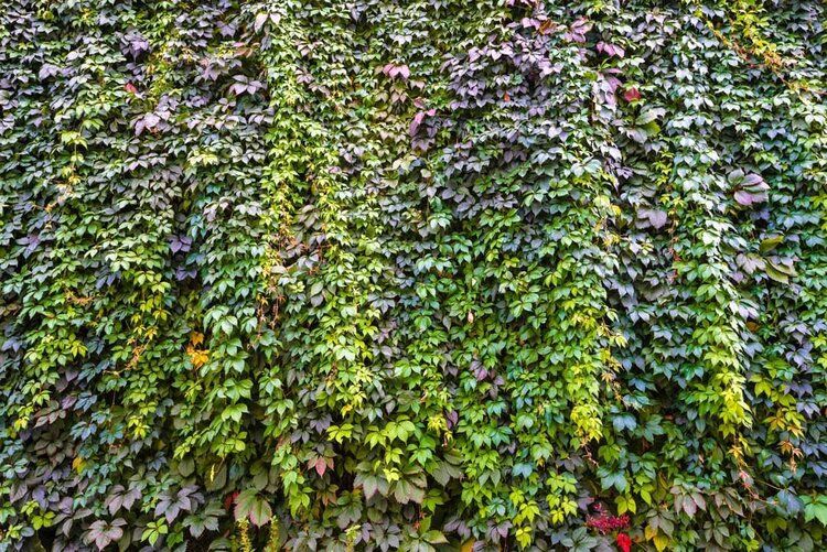 0053 - Panoramic - Textures