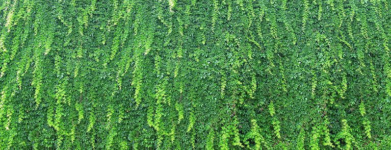 6736 - Panoramic - Textures