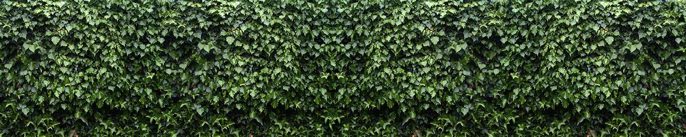 6738 - Panoramic - Textures