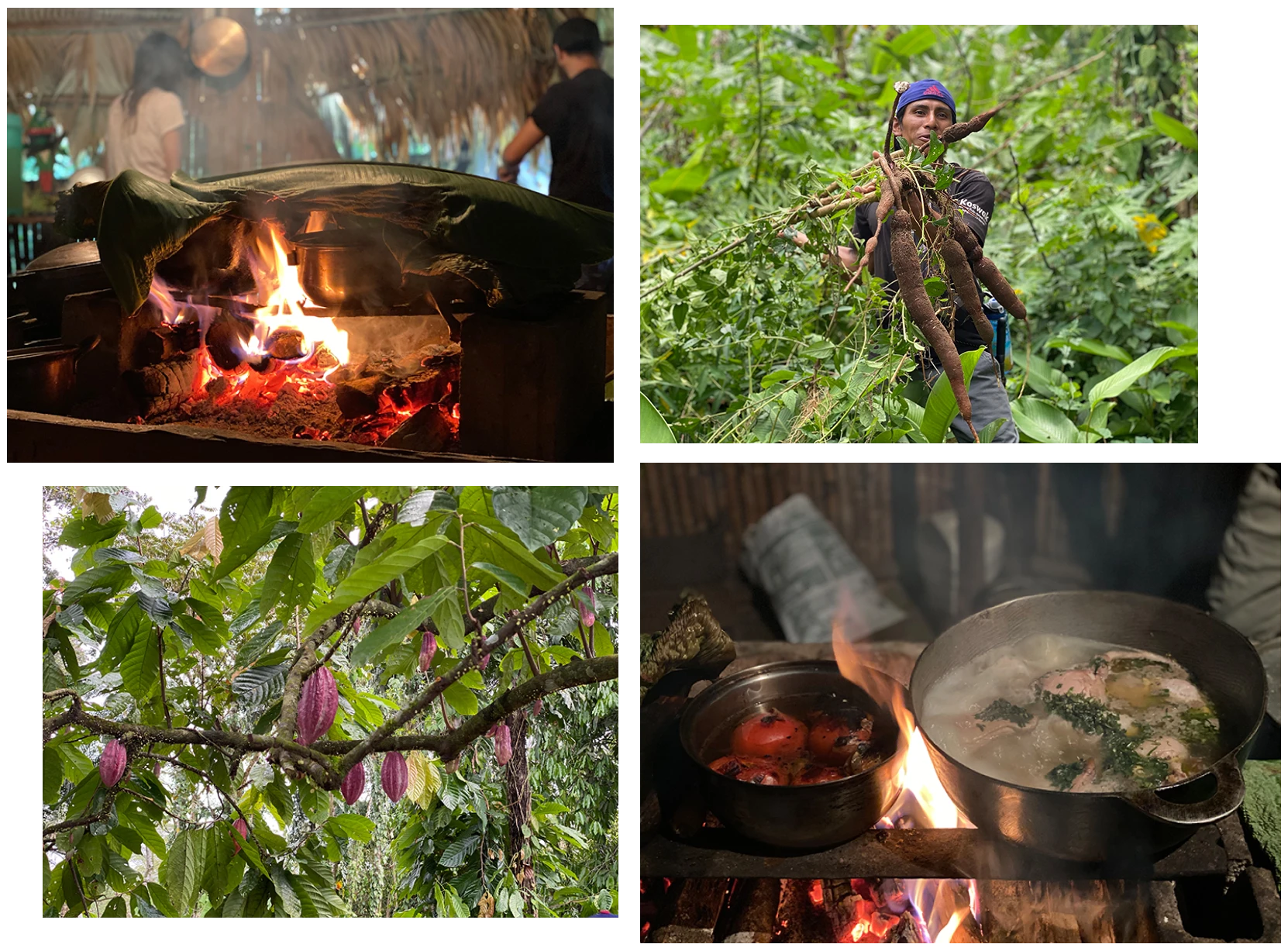 Exploring food with the Bri Bri tribe