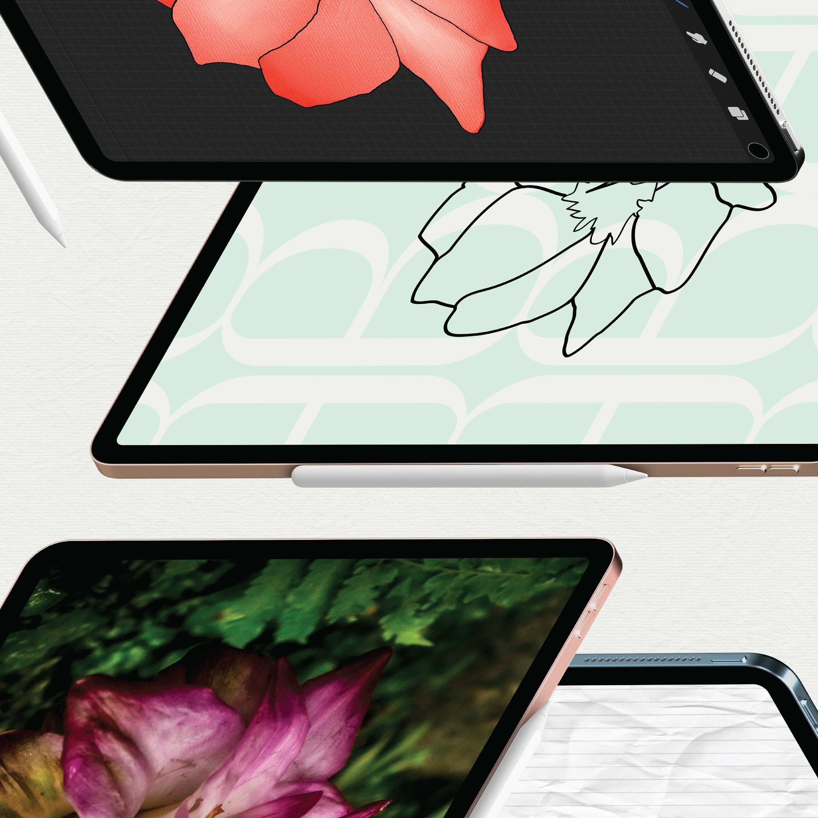 Brola Designs — Digital Marketing