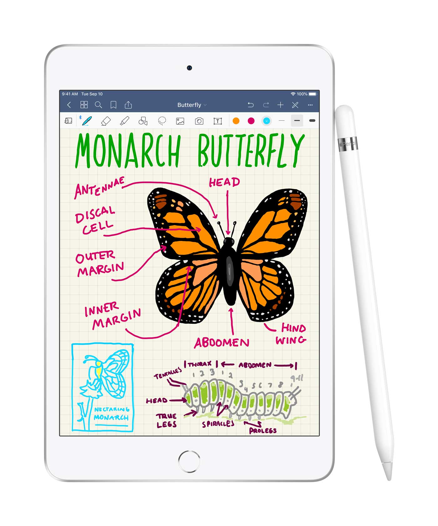 Apple Education | Aiscorp