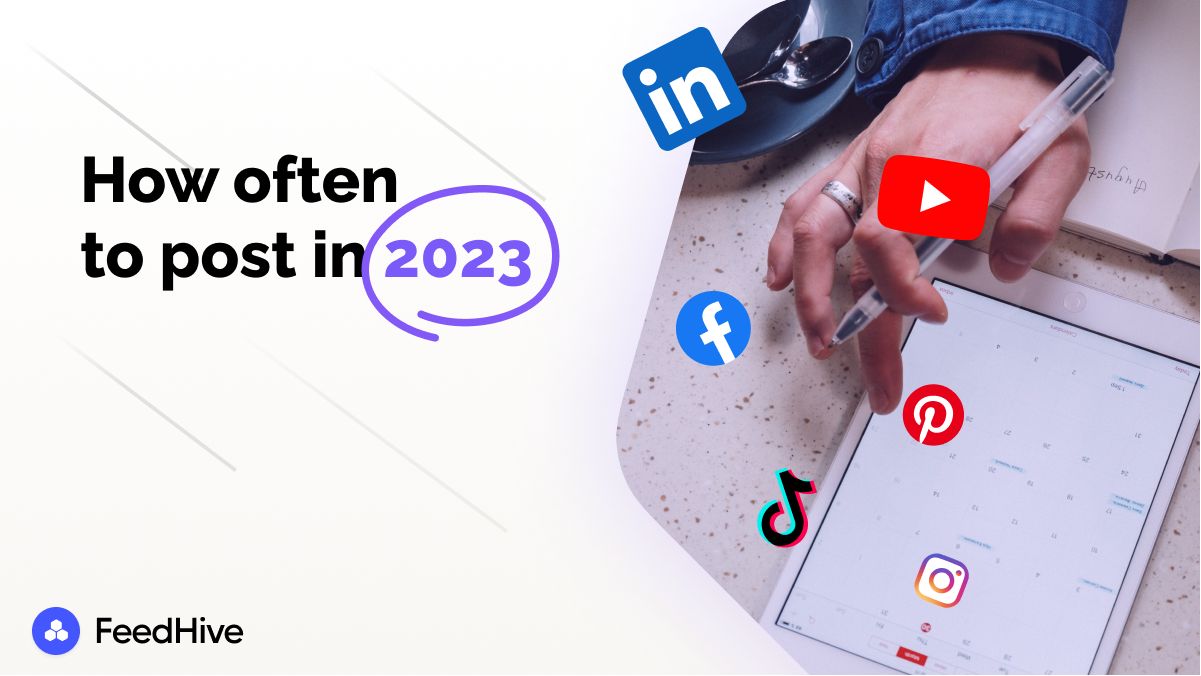 How Often Should You Post On Social Media in 2023 - FeedHive Blog
