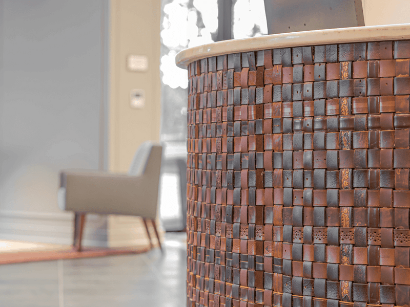 Roos International: Ecodomo