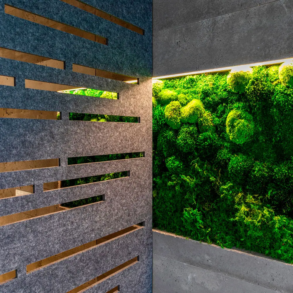 Roos International: Ezobord