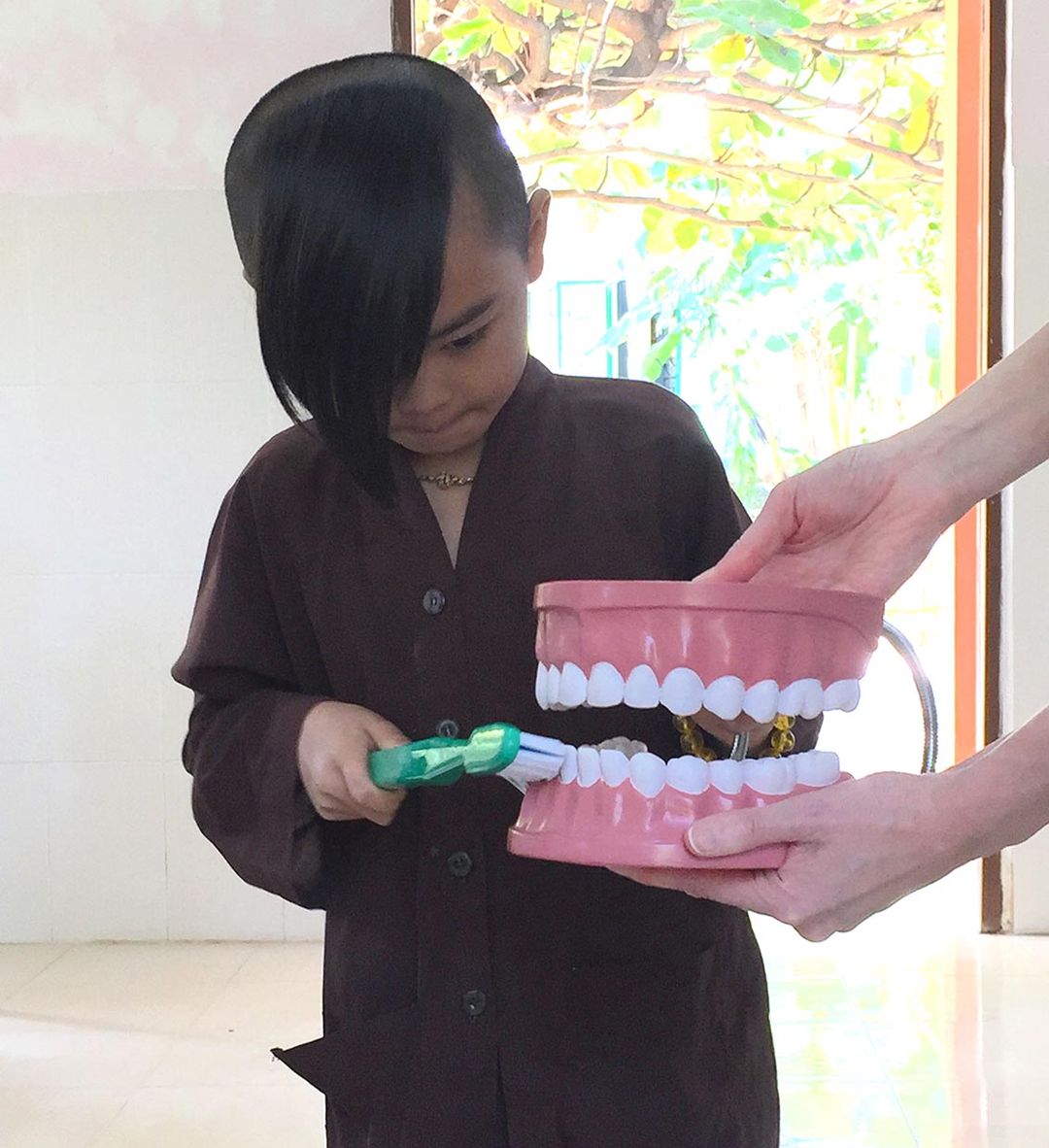 Project Healthy Smile - Saving Smiles Worldwide: All Volunteer Non-Profit