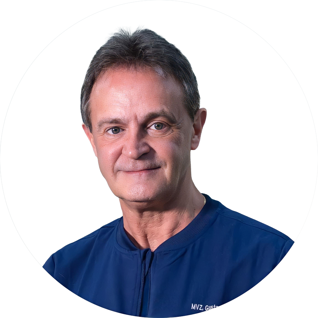 Acerca de la Sociedad Mexicana de Oftalmólogos Veterinarios