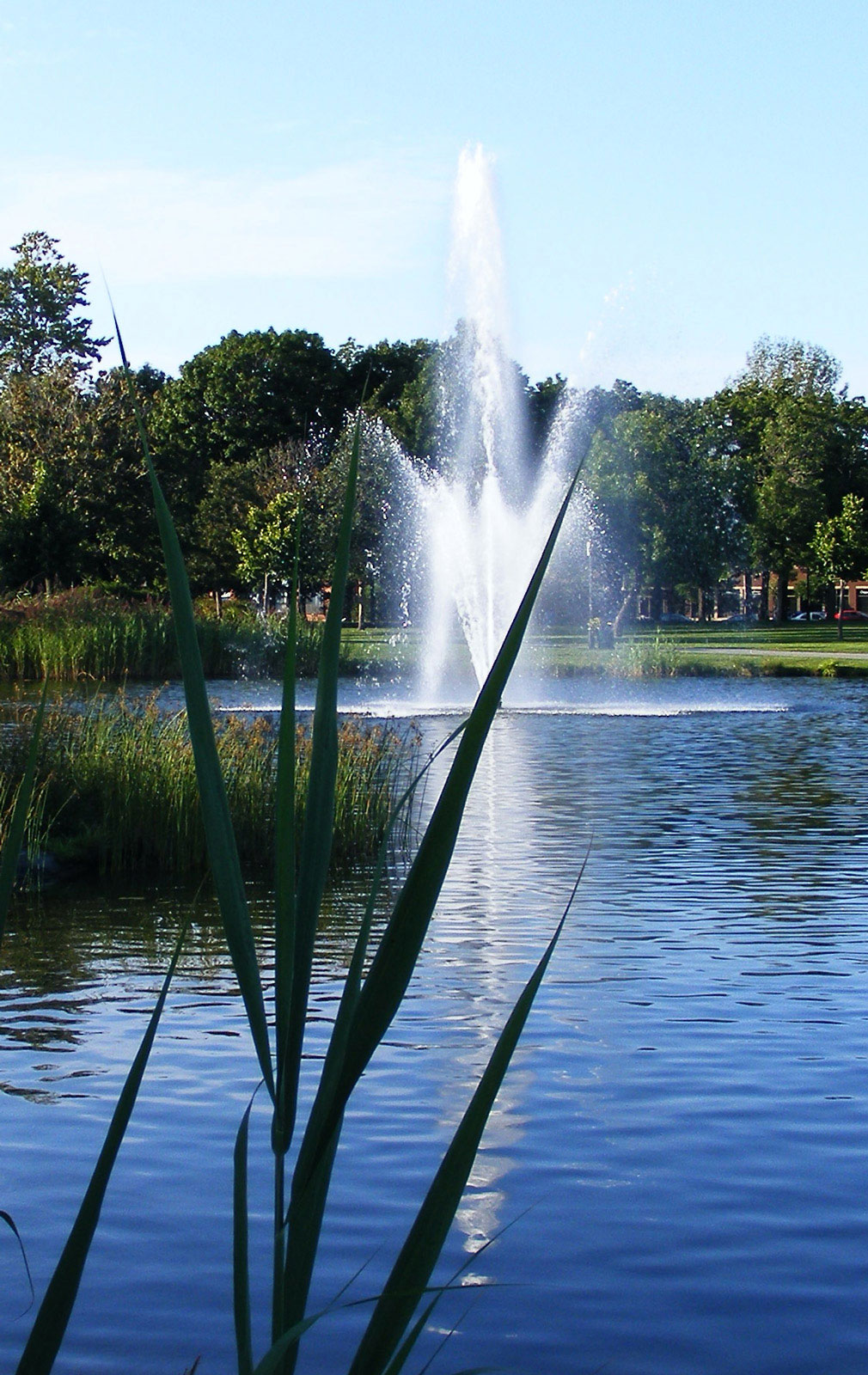 Nuovo - Neighbourhood