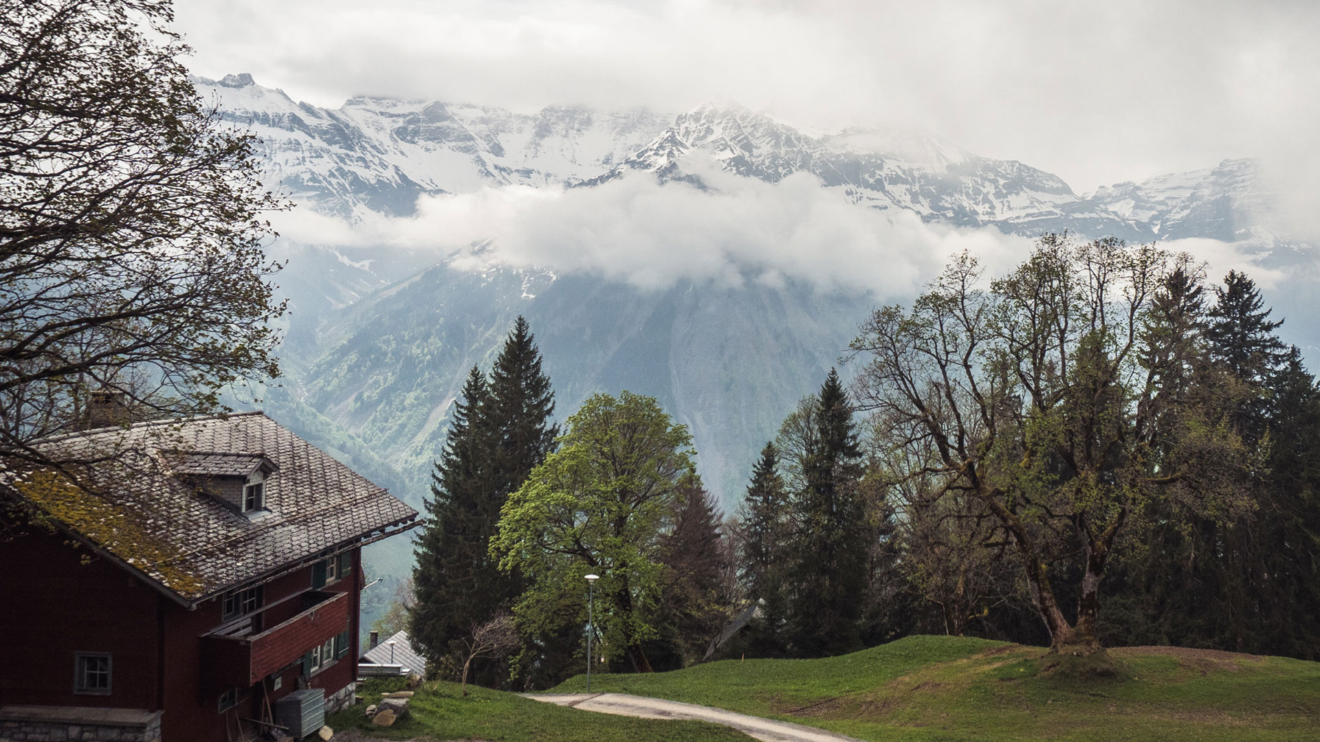 Teardrop Camper Reviews