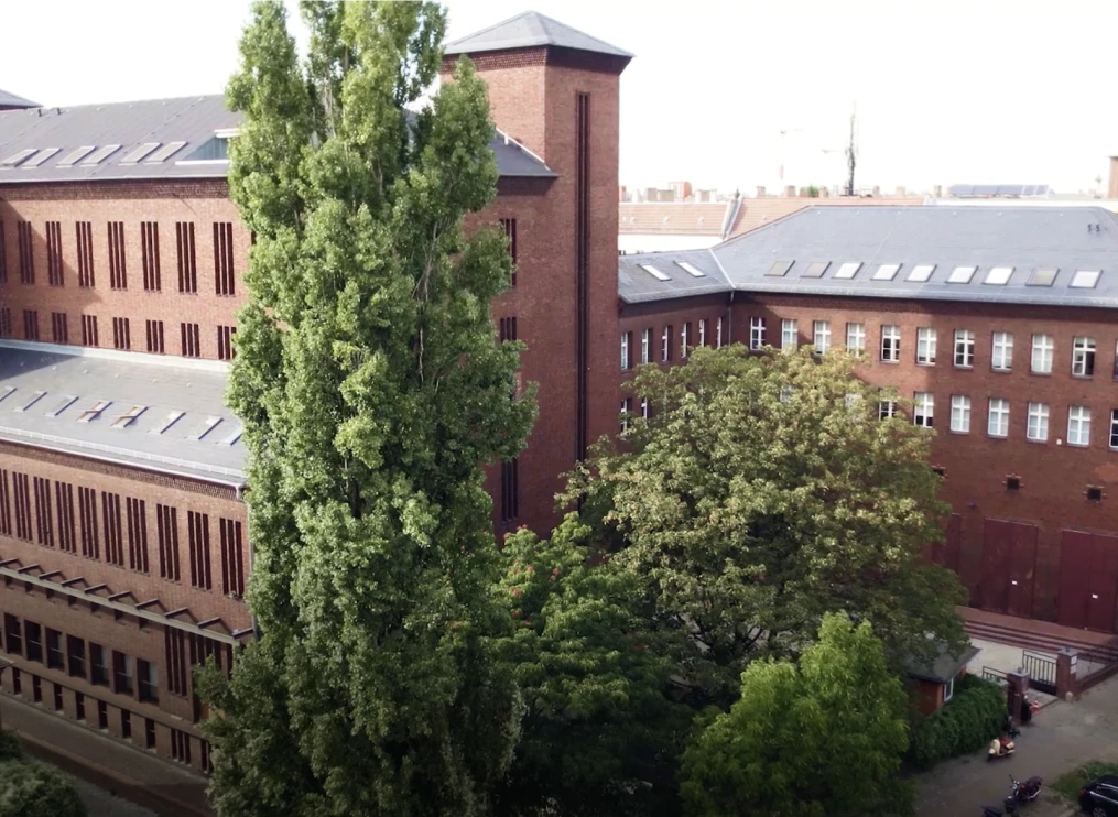Berlin Jobs | Careers at GetYourGuide
