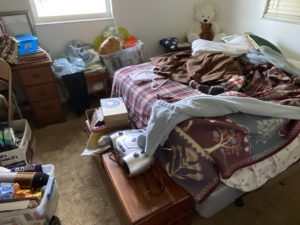 Level 1 Hoarding Explained