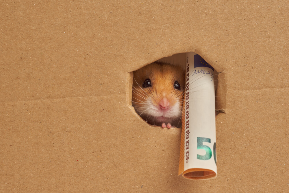 Animal Hoarding: Laws, Facts and Psychology behind It