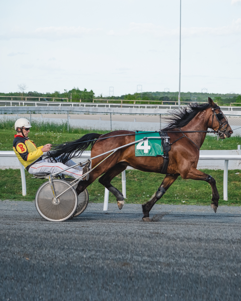Kawartha Downs | Your ultimate events destination