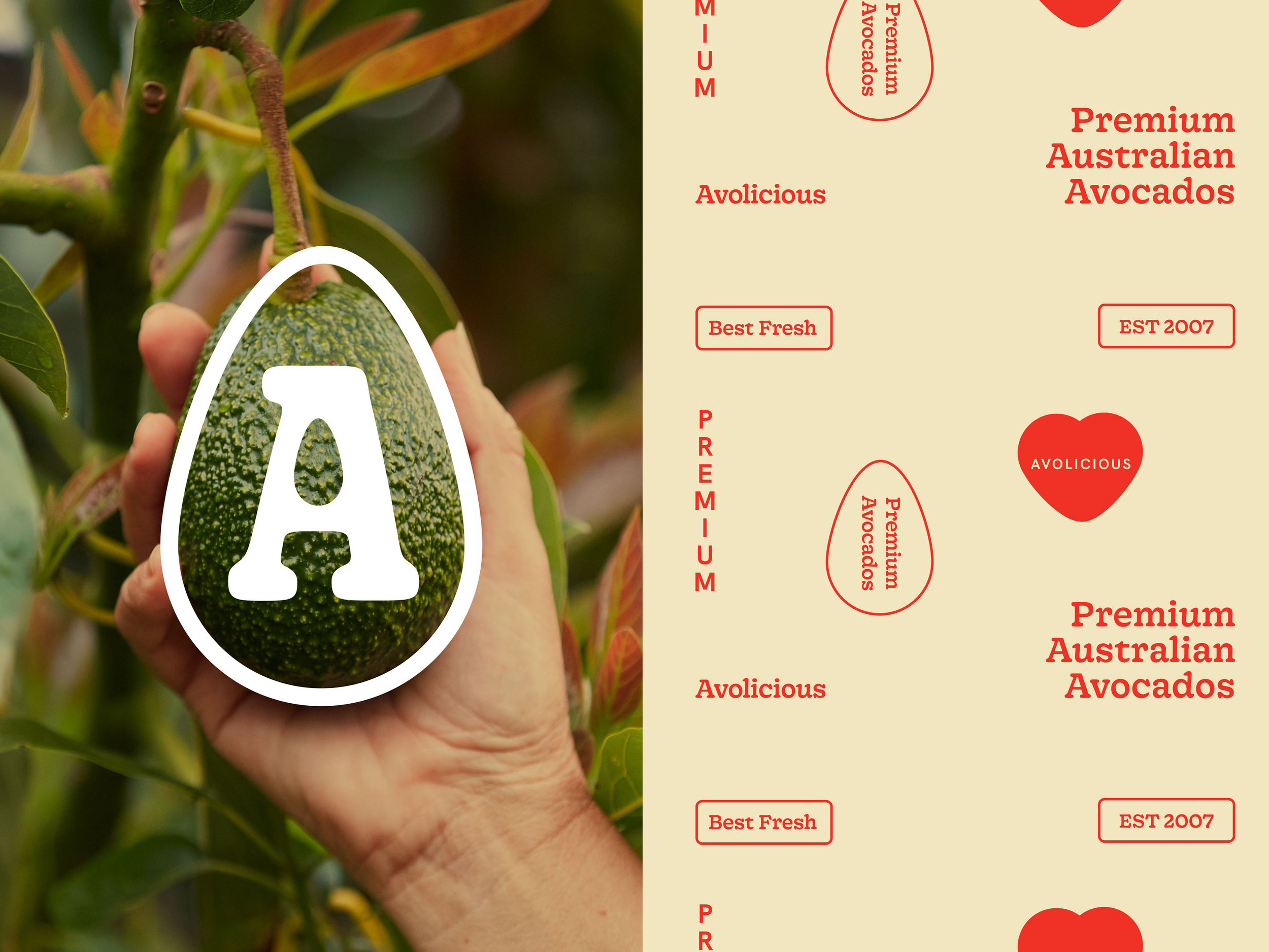 The Avocado Collective \ Branding Case Study \ Block