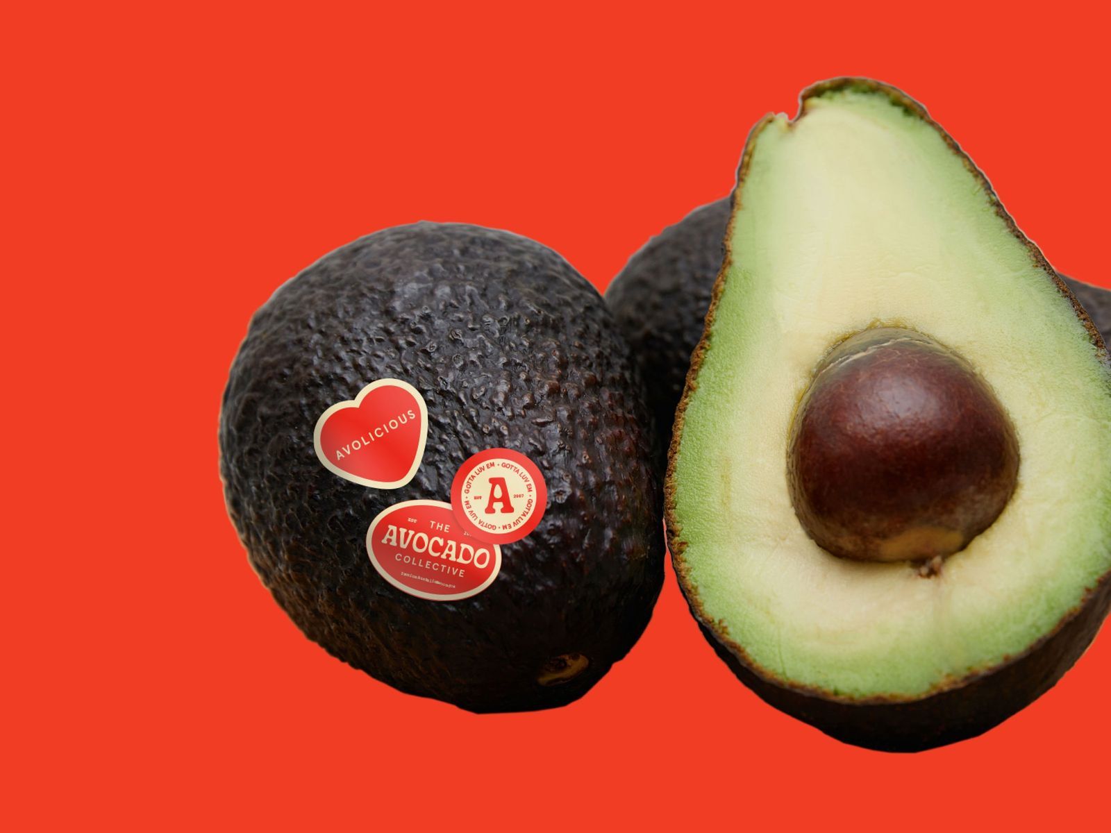 The Avocado Collective \ Branding Case Study \ Block