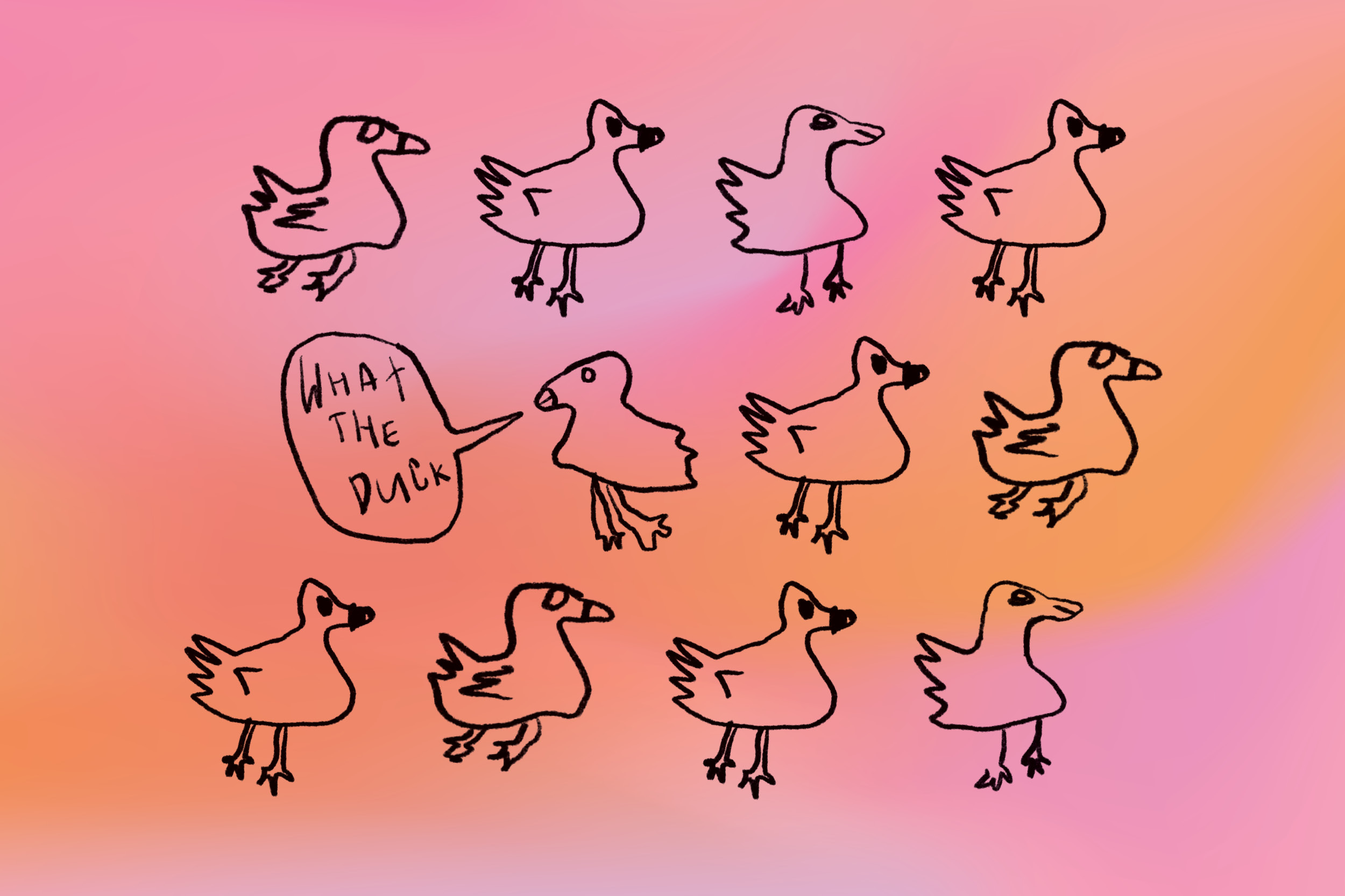 Fizzy Duck \ Branding Case Study \ Block