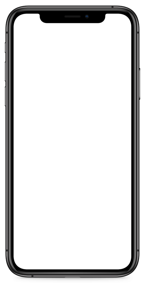 ScriptPad - Standalone ePrescribing App
