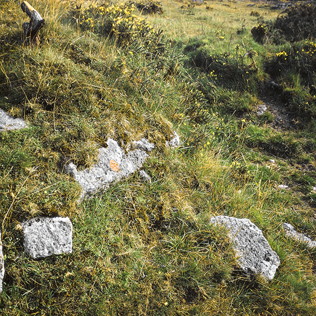 Artists | Nancy Holt