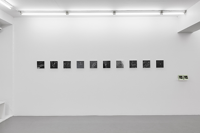 Artists | Sophy Rickett