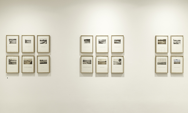 Artists | Sophy Rickett