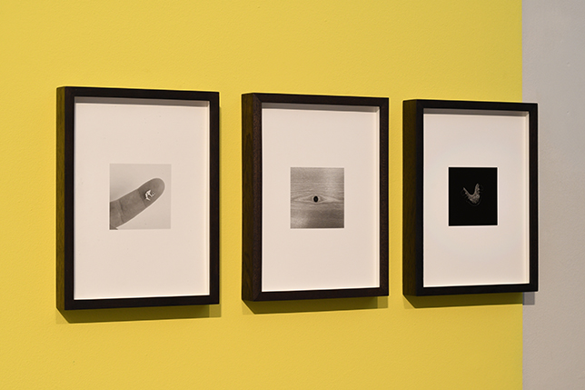 Artists | Sophy Rickett