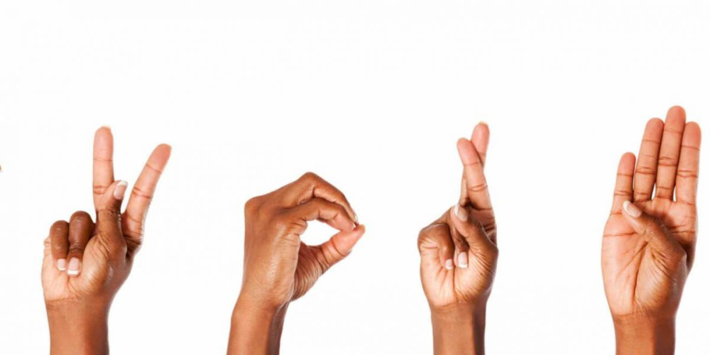 BRITISH SIGN LANGUAGE WILL BE INTRODUCED AND TAUGHT AS A GCSE | The ...