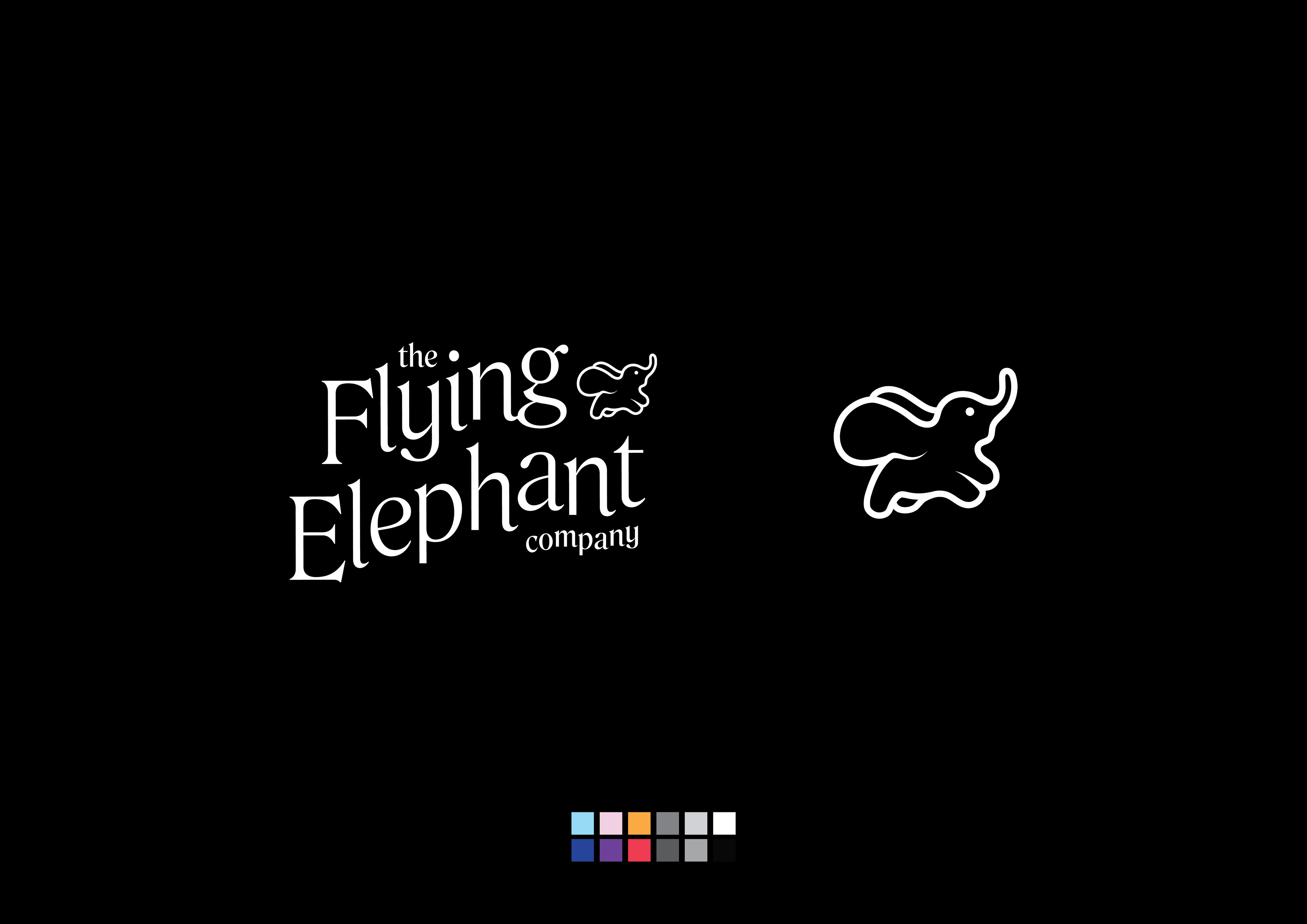 Streamlnr | Our Brand Design work for Flying Elephant