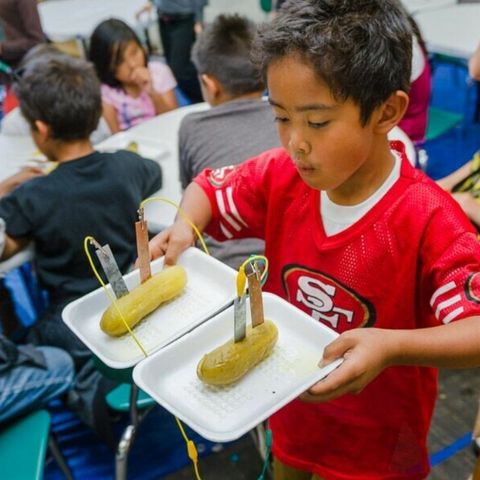 EDMO | After-school and Summer Camp programs, ELOP Funded