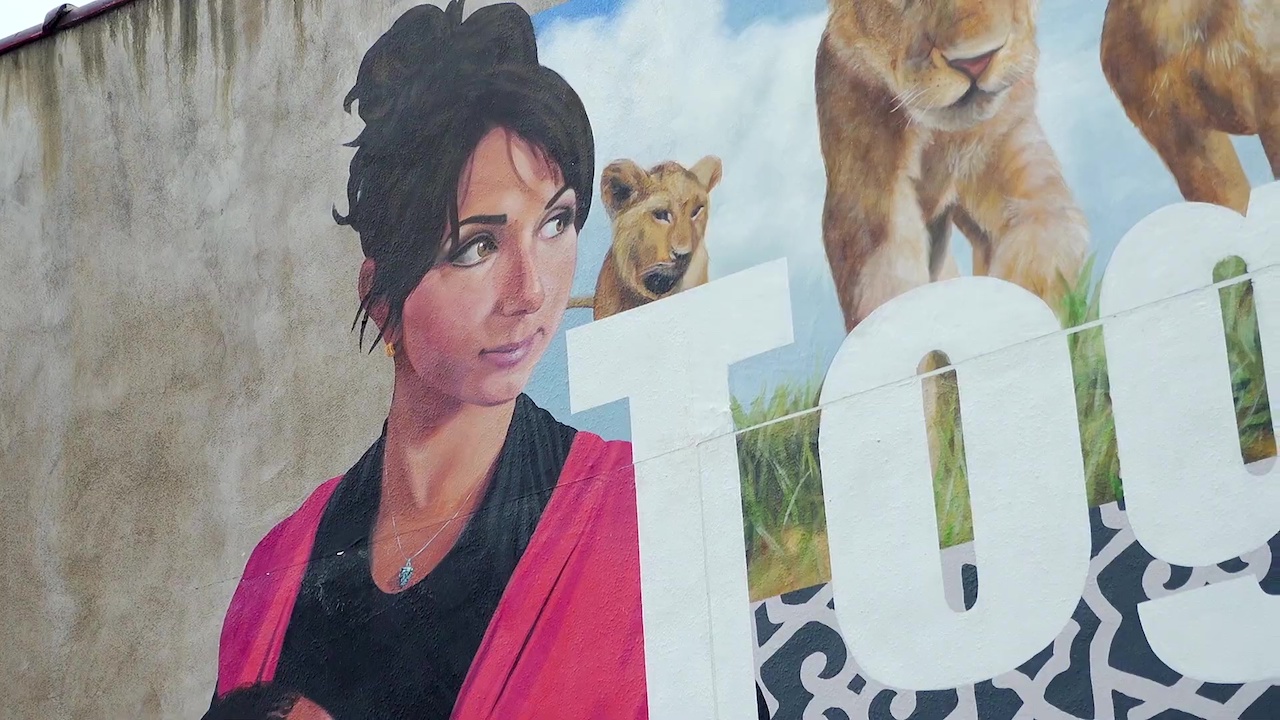 Zappos' Beautify Earth by Andrew Gormley