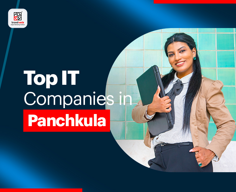 Top 10 IT Companies in Panchkula (2024) - Brandveda