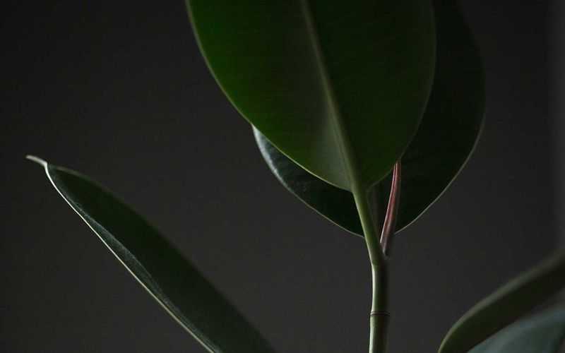 Funeral Quote - Len Russell Funerals