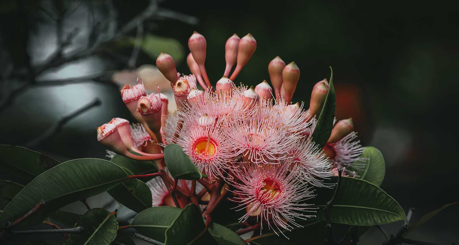 Burial Services Ipswich - Len Russell Funerals