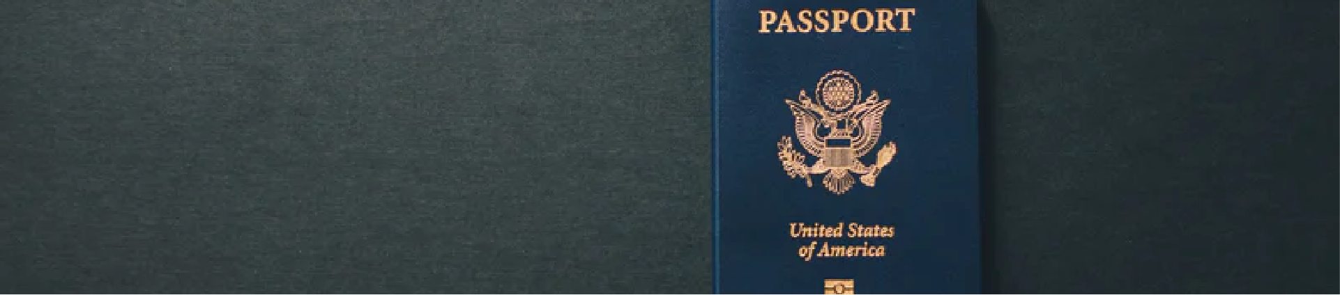 Programa de Internados