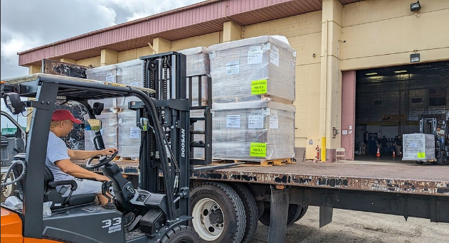 Mastering Core Capabilities for FEMA: A Guide to Effective Emergency ...