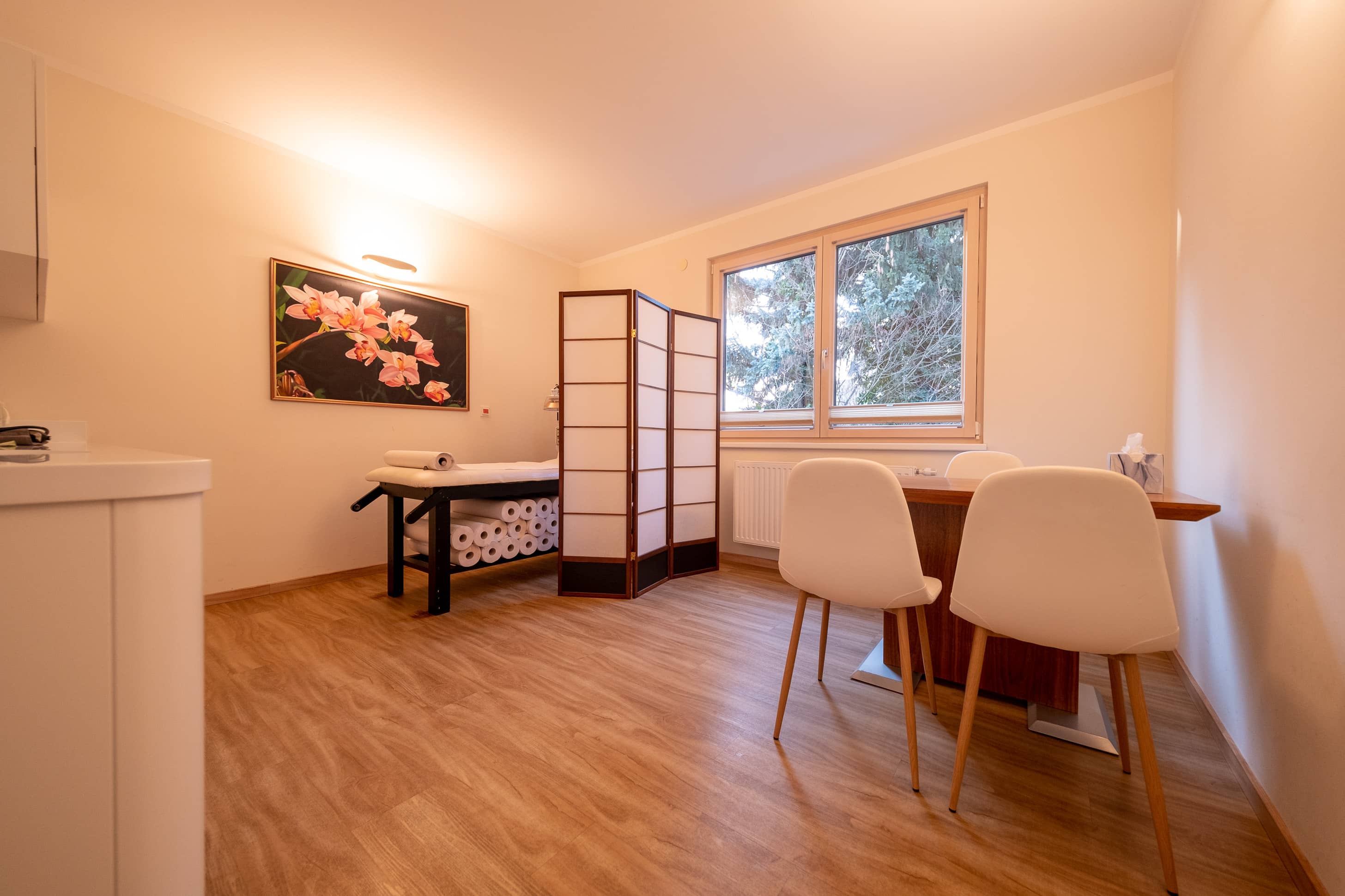 TCM Erstbesuch | Anshen Zentrum Alte Donau