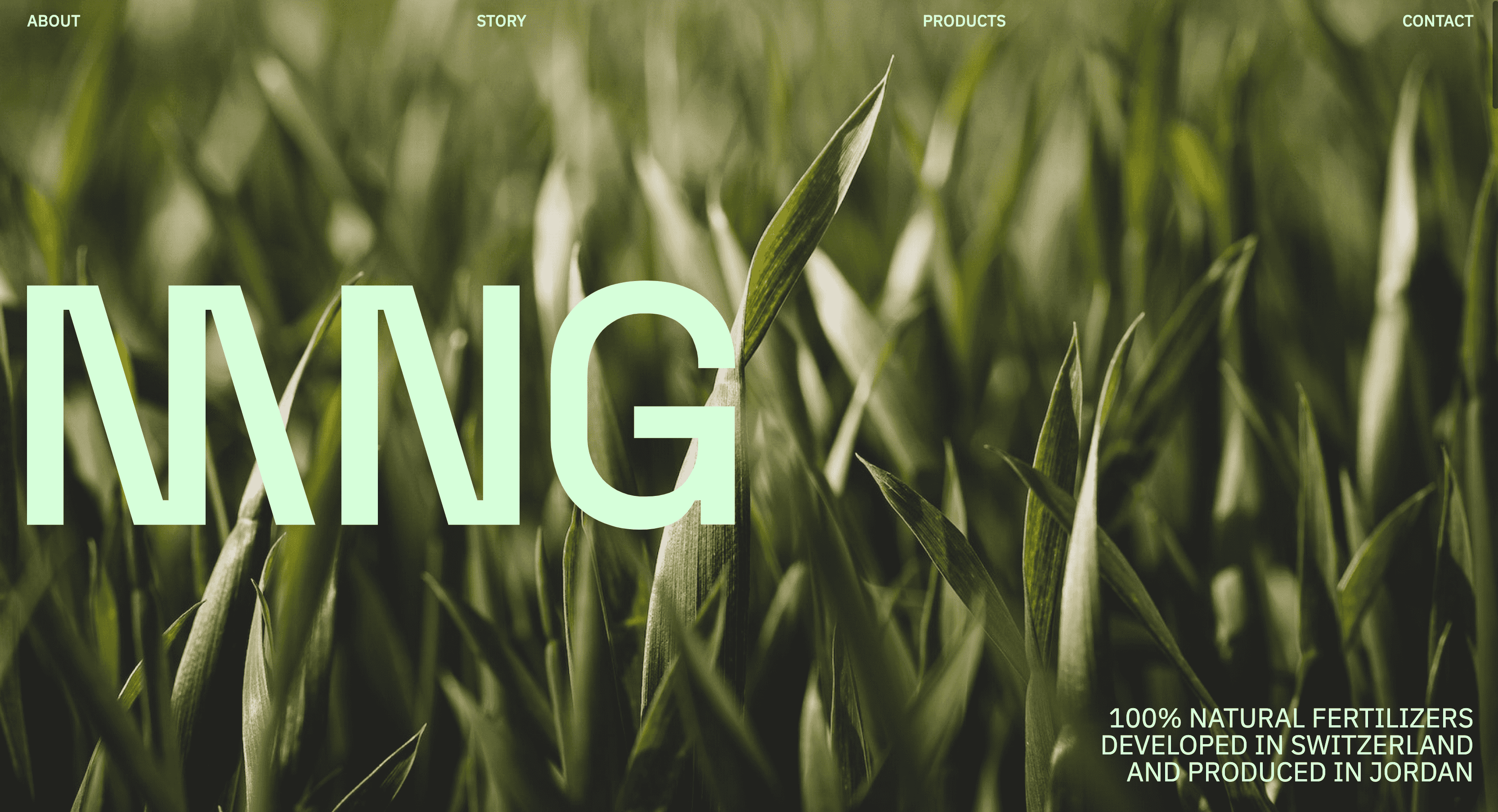 MANASEER NATURAL GREEN DEVELOPS AND PRODUCES