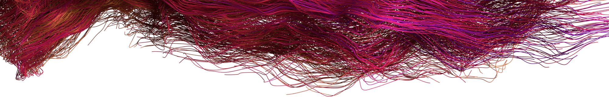 Nexus - Launch by NTT DATA